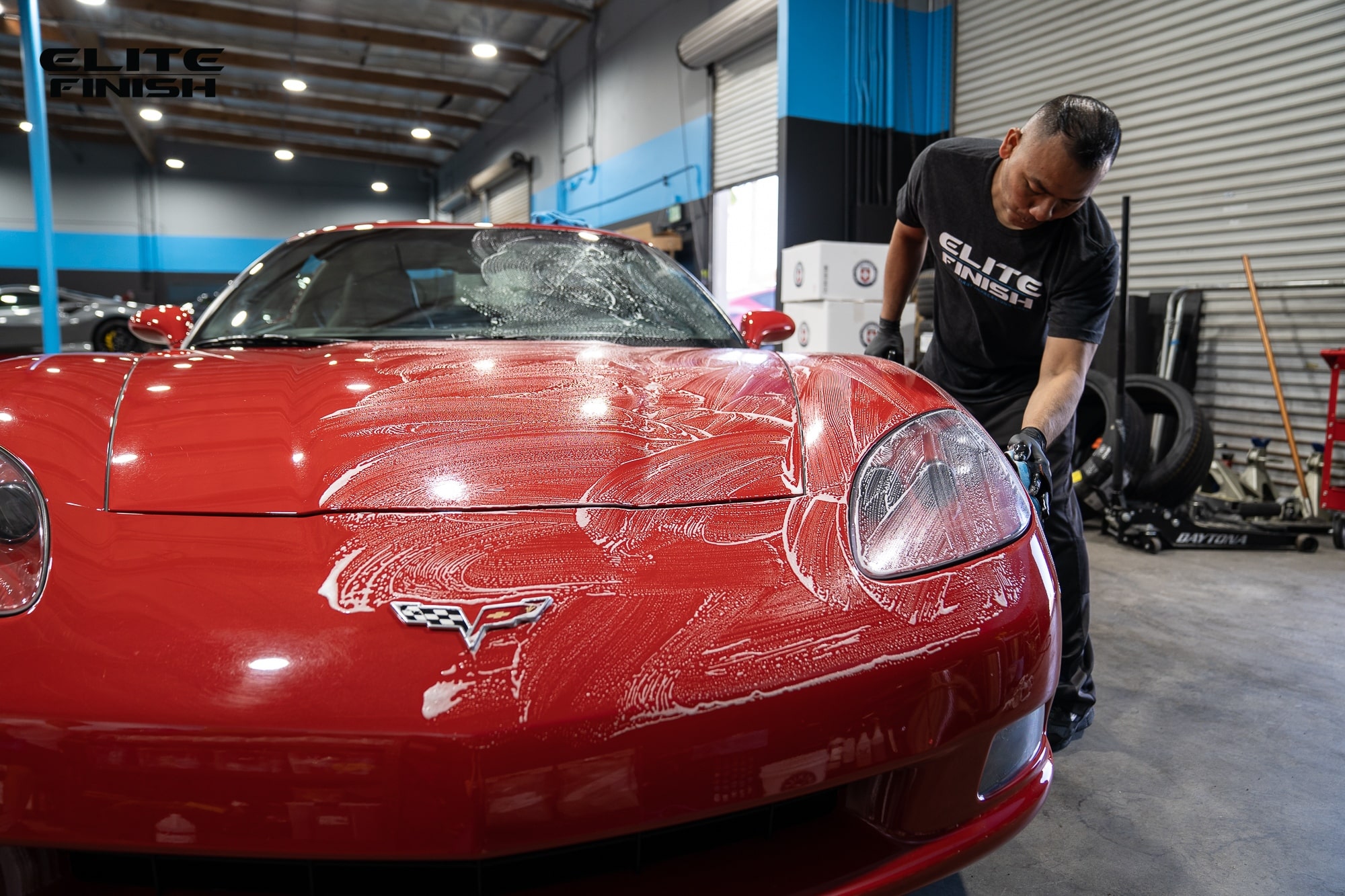 Professional Detailing and Paint Correction in San Diego.